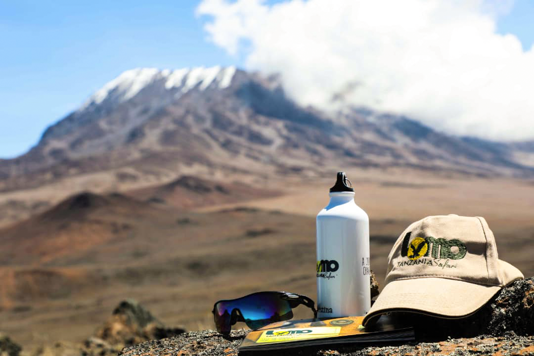 Mount Kilimanjaro Day Trip Adventure